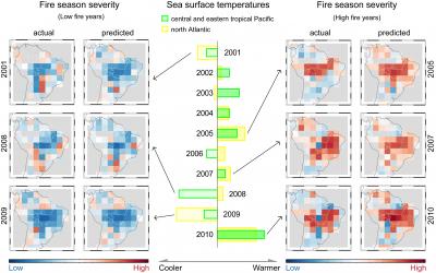Predicting Fire Season Severity in the Amazon | EurekAlert!