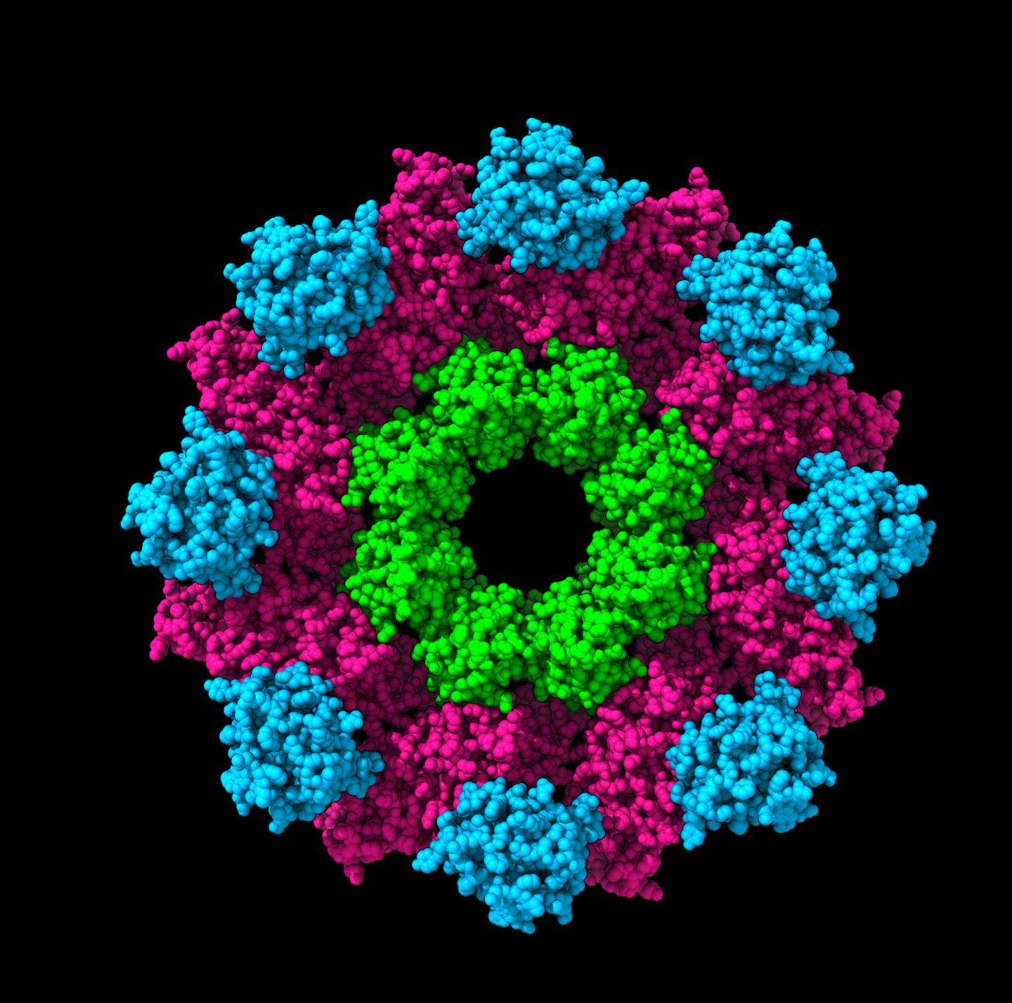 SARM1 [IMAGE] | EurekAlert! Science News Releases