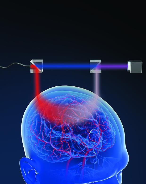 Measuring Brain Blood Flow and [IMAGE] | EurekAlert! Science News Releases
