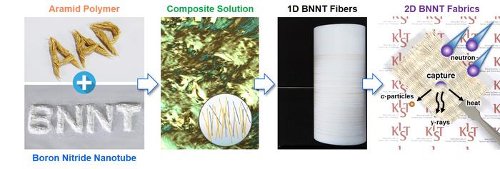 [Figure 2] [IMAGE] | EurekAlert! Science News Releases