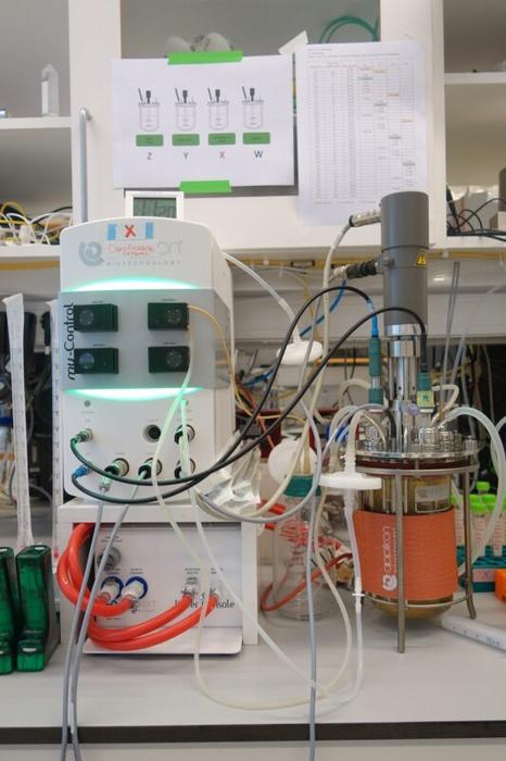 Bioreactor [IMAGE] | EurekAlert! Science News Releases