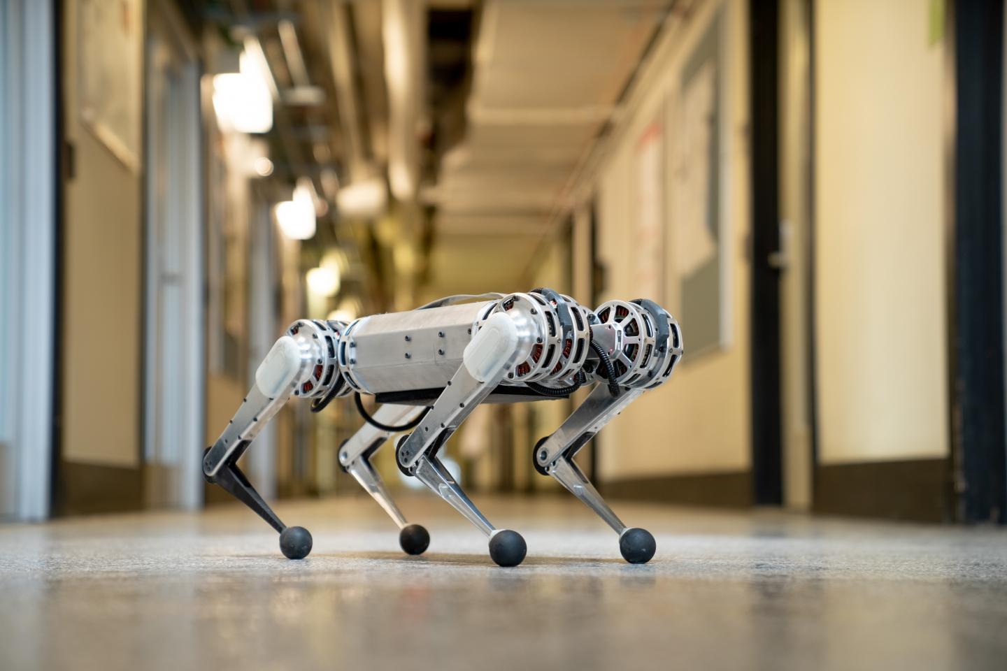 Mini cheetah is the first four-legged robot t | EurekAlert!