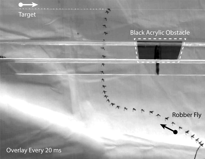 Flightpath Overlay Avoidance [IMAGE] | EurekAlert! Science News Releases
