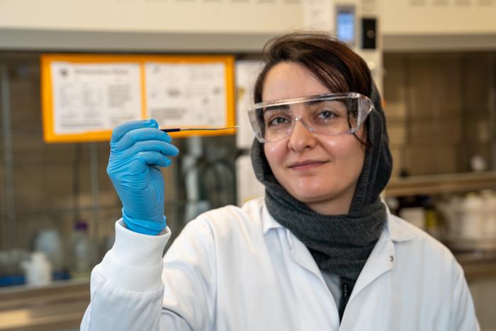 Fereshteh Bayat [IMAGE] | EurekAlert! Science News Releases