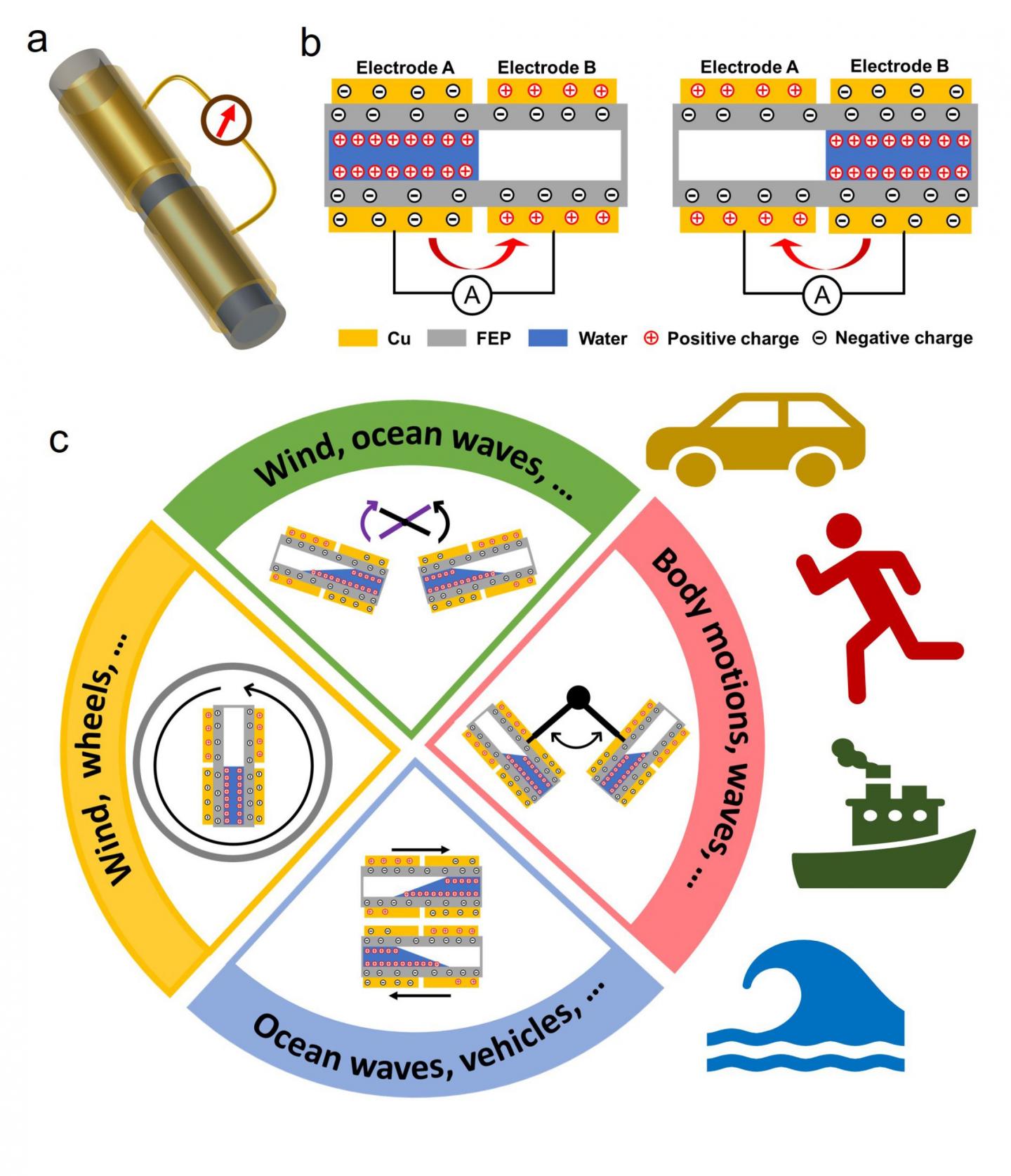 Fig.1 [IMAGE] | EurekAlert! Science News Releases