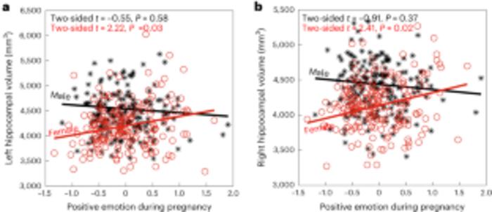 Effects of maternal positive e [IMAGE] | EurekAlert! Science News Releases