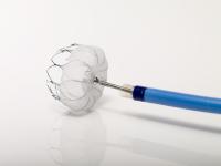 WATCHMAN device gives patients alternative to | EurekAlert!