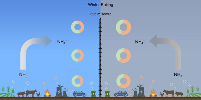 Ammonia sources of PM2.5 ammon [IMAGE] | EurekAlert! Science News Releases