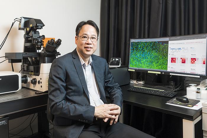 Professor Yung Wing-ho, Chair [IMAGE] | EurekAlert! Science News Releases