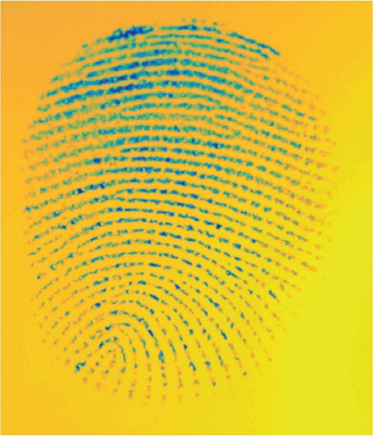 How fingers interact with surfaces | EurekAlert!