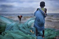 Links Between Defaunation and Social Conflict | EurekAlert!