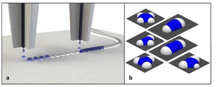 Inkjet Printing Method [IMAGE] | EurekAlert! Science News Releases