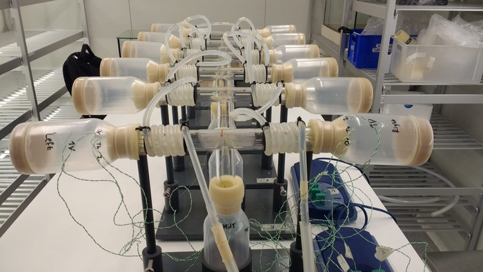 Test arena [IMAGE] | EurekAlert! Science News Releases