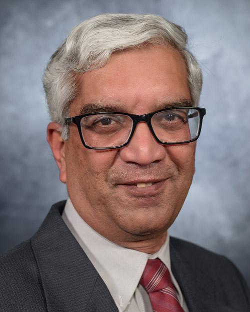 Dr. Srinivasan Raghunathan [IMAGE] | EurekAlert! Science News Releases