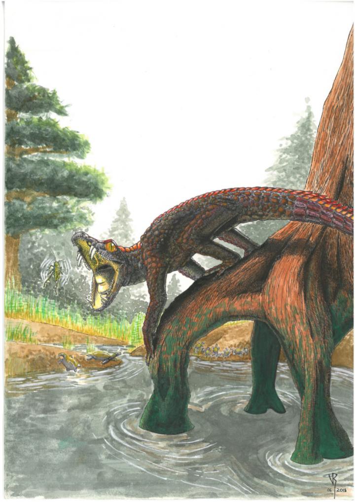 Shartegosuchid [IMAGE] | EurekAlert! Science News Releases