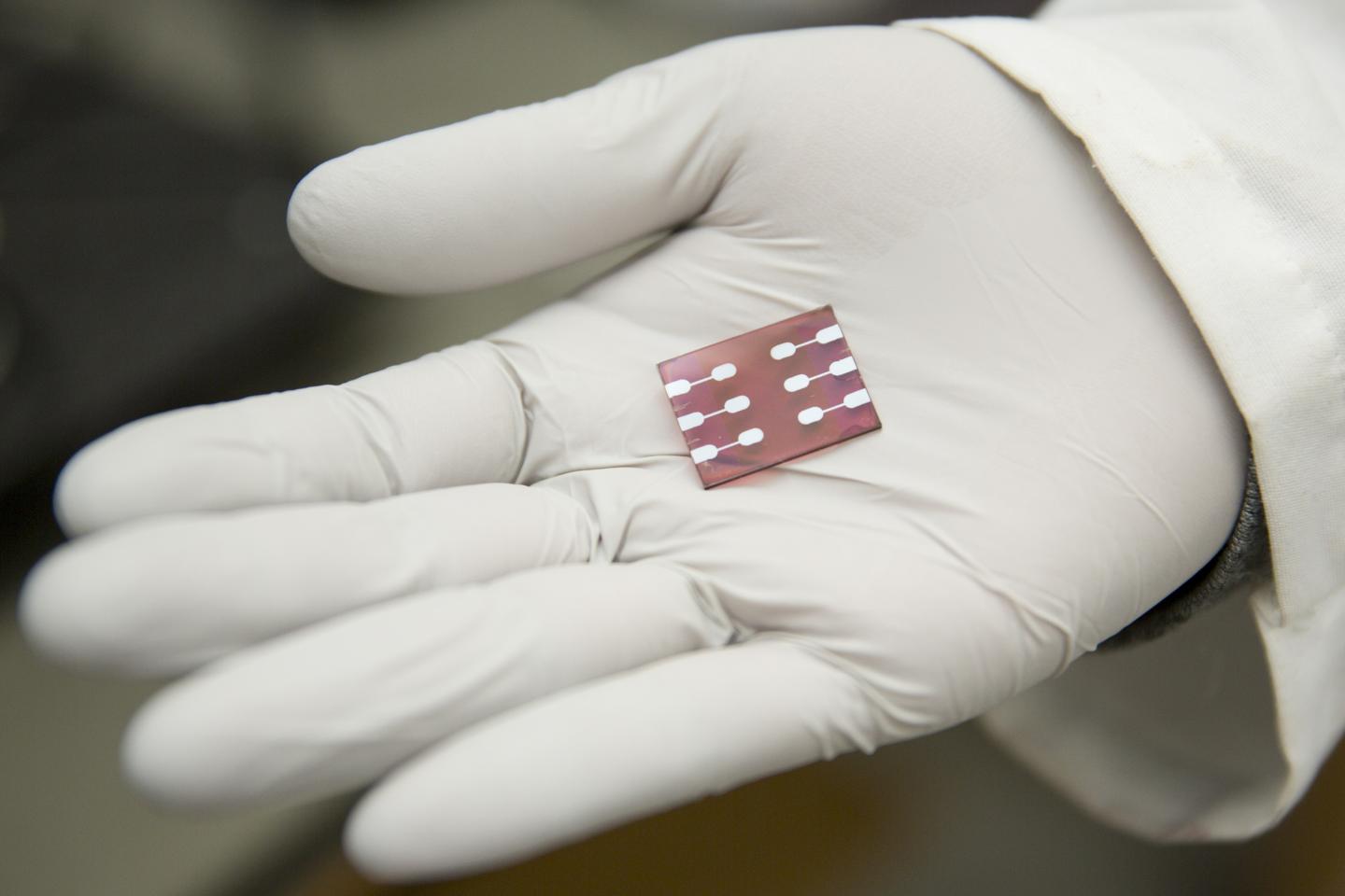 Polymer Solar Cell [IMAGE] | EurekAlert! Science News Releases