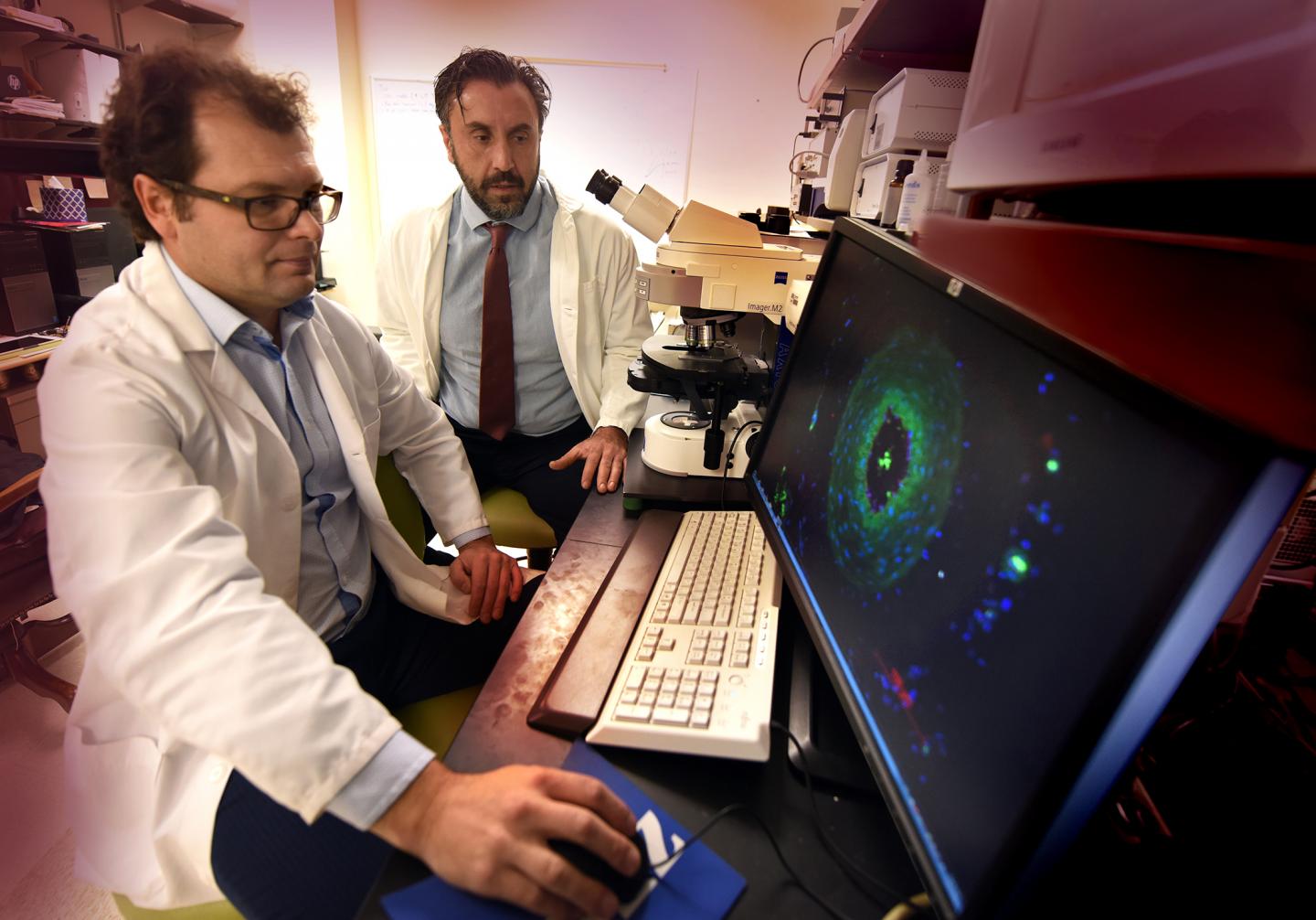 Dr. Zsolt Bagi and Dr. Dan Rud [IMAGE] | EurekAlert! Science News Releases