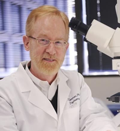 Research finds elevated levels of DDT metabol | EurekAlert!