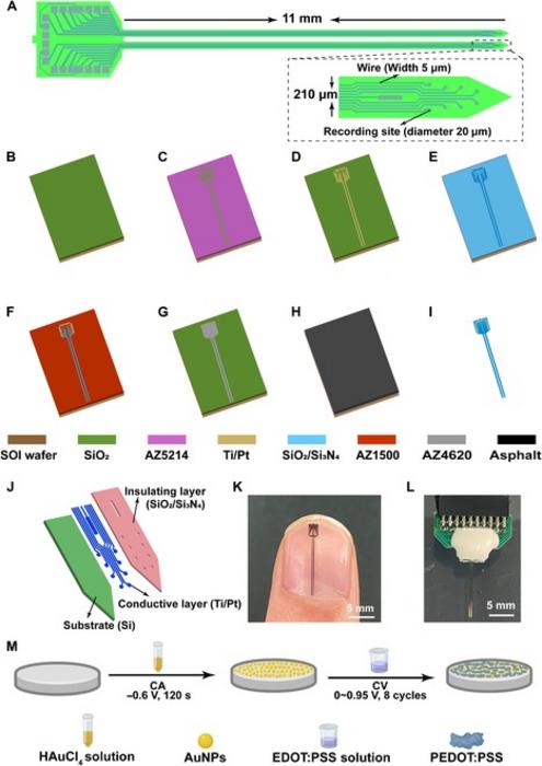 Schematic of MEA design and pr [IMAGE] | EurekAlert! Science News Releases