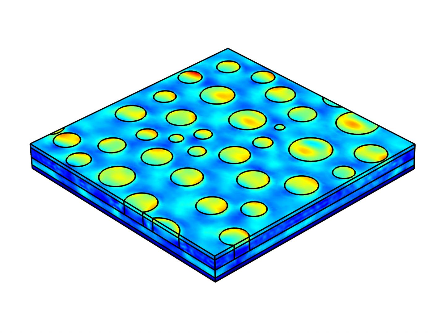 Black Butterfly Wings Can Help Improve Solar | EurekAlert!