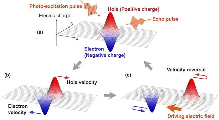 Figure 1 [IMAGE] | EurekAlert! Science News Releases