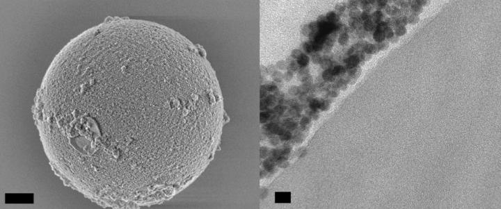Nanoparticle-Coated Spheres [IMAGE] | EurekAlert! Science News Releases