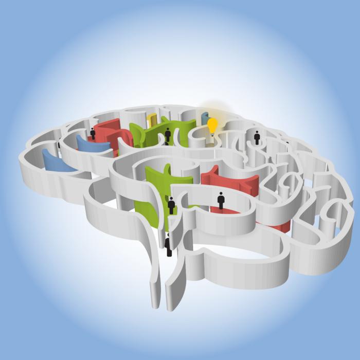 The Donation of Human Biologic [IMAGE] | EurekAlert! Science News Releases