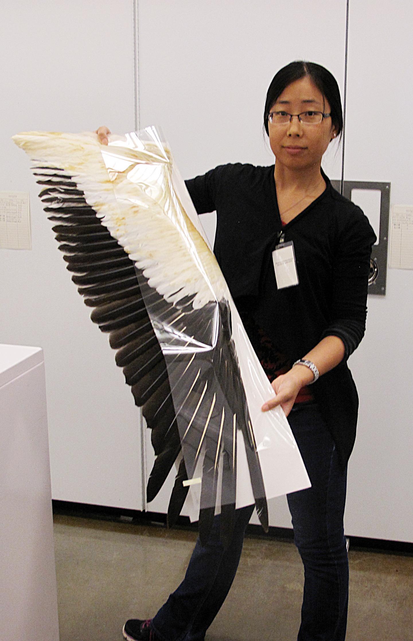 Xia Wang with Wing [IMAGE] | EurekAlert! Science News Releases