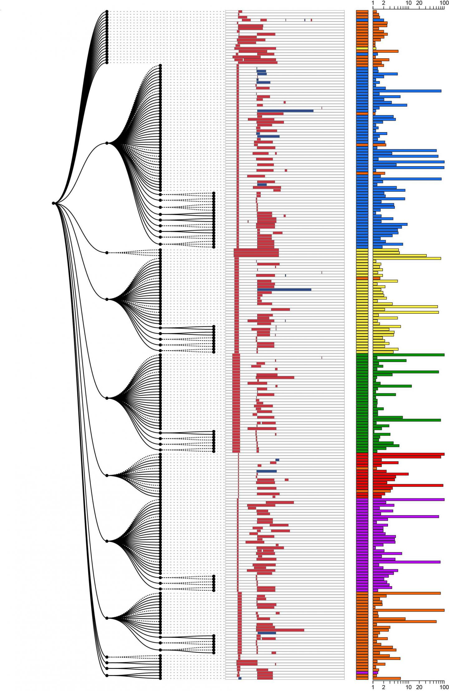 New "Genetic Barcode" Techniqu [IMAGE] | EurekAlert! Science News Releases