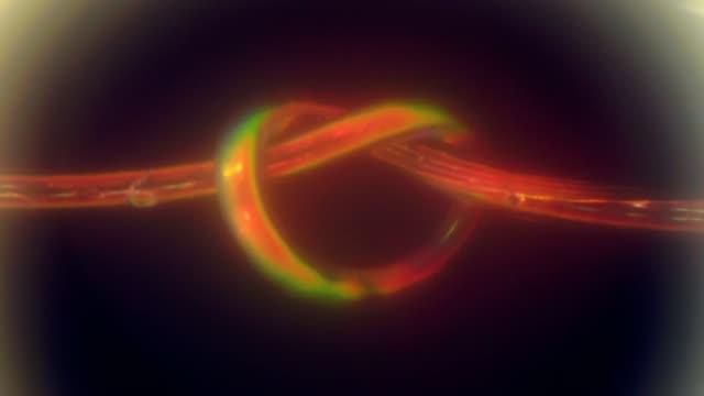 Color-Changing Fiber and Theory Reveal Fundam | EurekAlert!