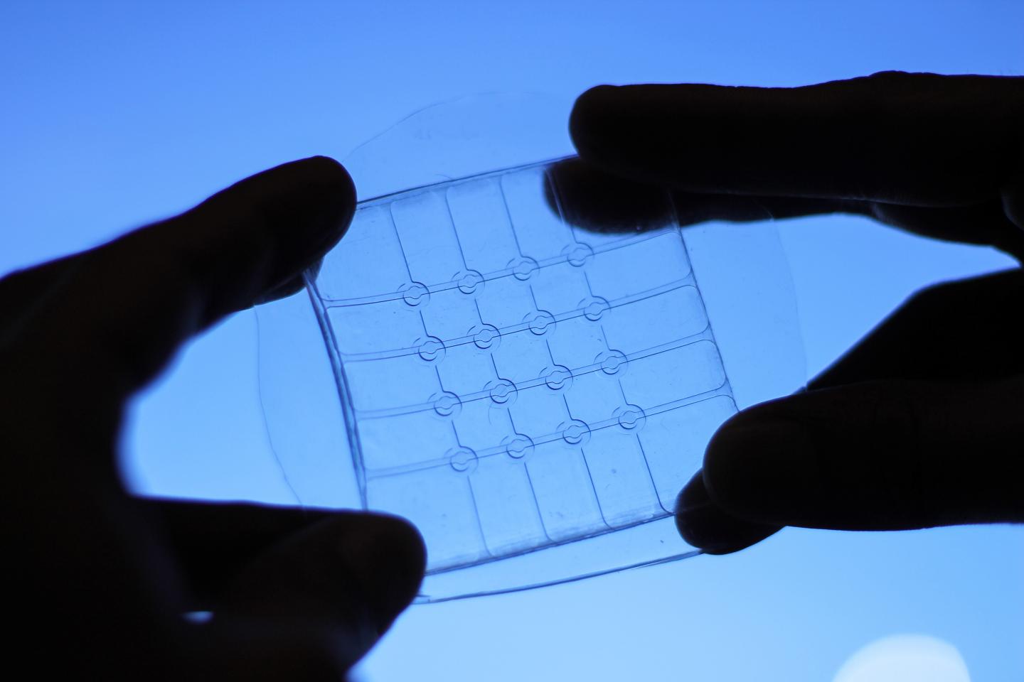 Transparent Pad Can Detect Tou [IMAGE] | EurekAlert! Science News Releases