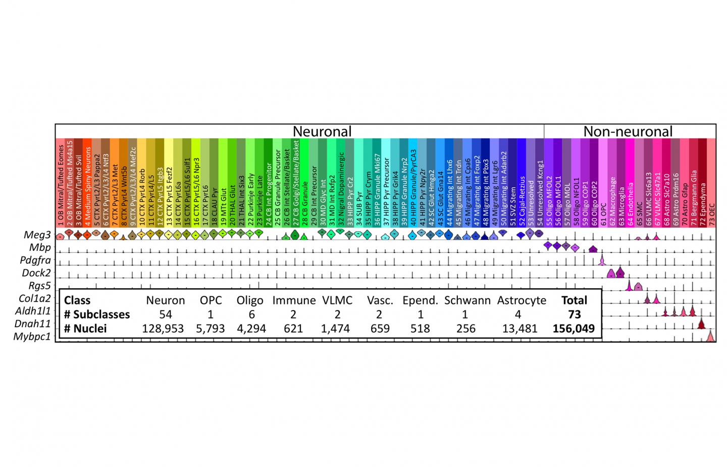 Single-Cell Transcriptome Land [IMAGE] | EurekAlert! Science News Releases