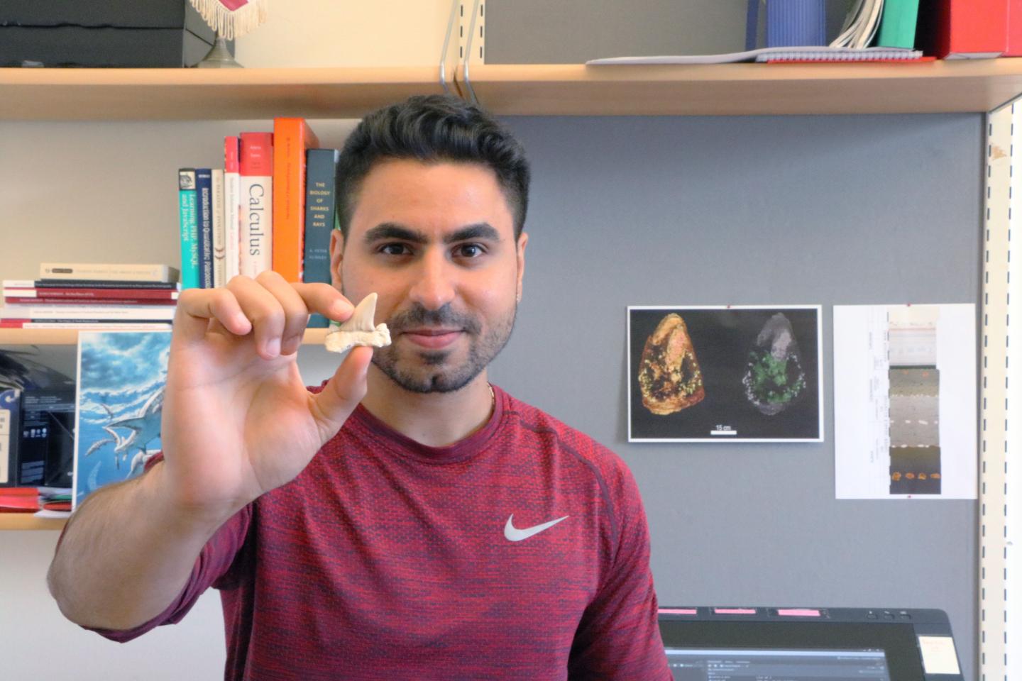 Mohamad Bazzi, Uppsala Univer [IMAGE] | EurekAlert! Science News Releases