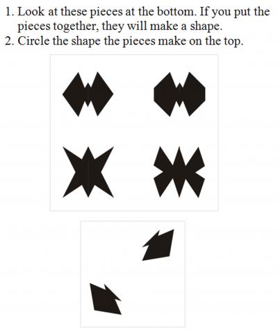 Spatial training boosts math skills | EurekAlert!