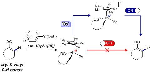 Arylation Mechanism Proposed b [IMAGE] | EurekAlert! Science News Releases