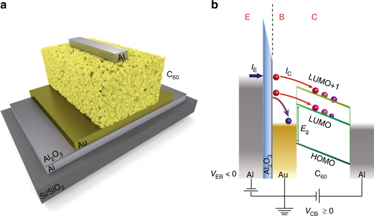 Device Schematics [IMAGE] | EurekAlert! Science News Releases