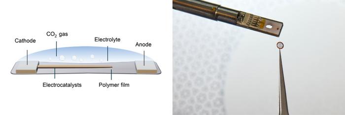 Polymer liquid cell [IMAGE] | EurekAlert! Science News Releases