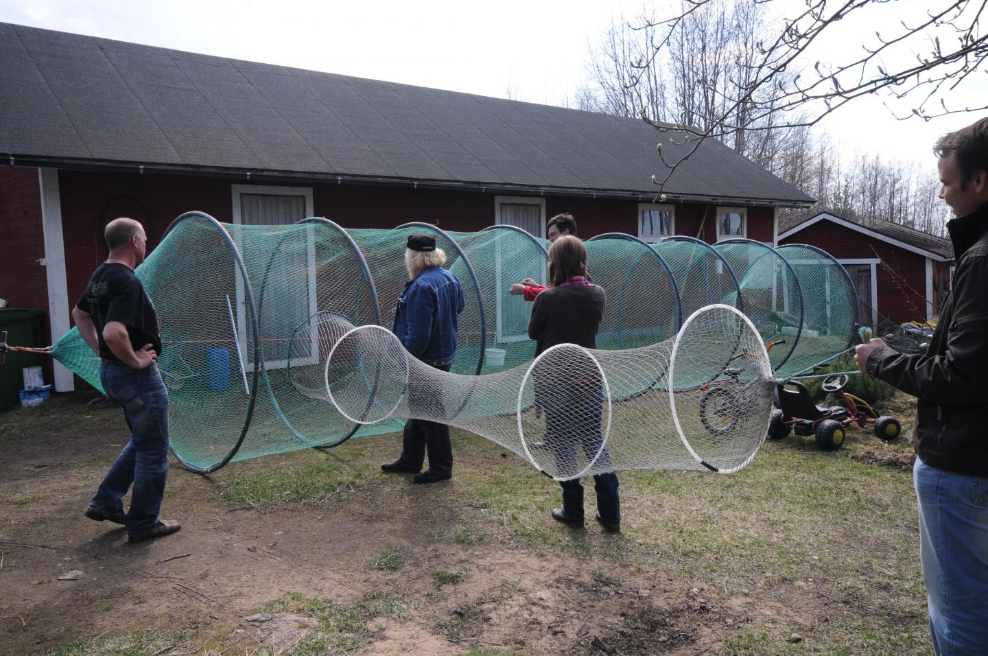 Understanding seal movement can help mitigate | EurekAlert!