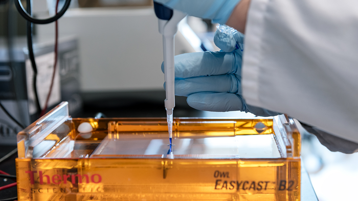 A new approach to curing HIV | EurekAlert!