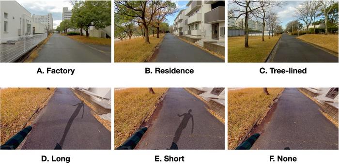 Virtual walking scenes [IMAGE] | EurekAlert! Science News Releases