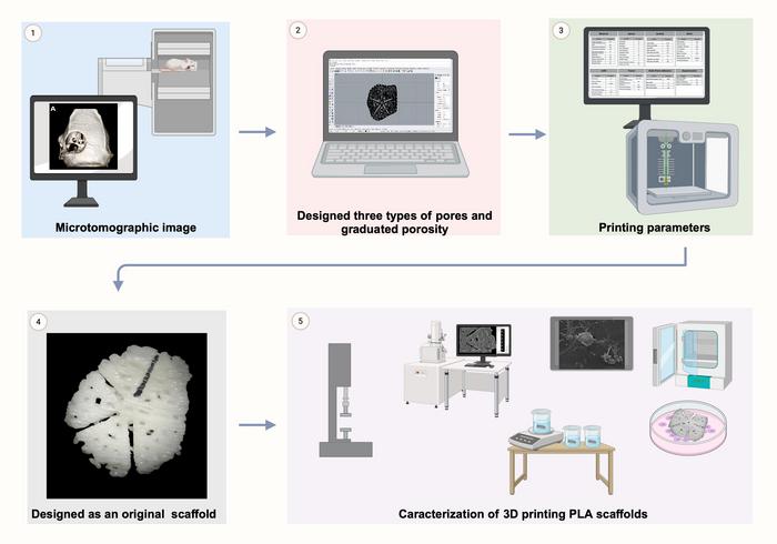 Methodology Overview [IMAGE] | EurekAlert! Science News Releases
