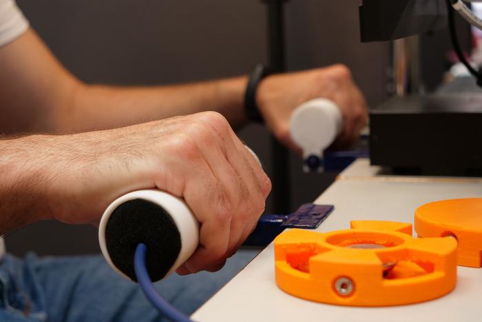 UMA scientists have modified t [IMAGE] | EurekAlert! Science News Releases