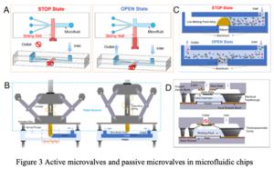Microfluidic Actuated And Controlled Systems Eurekalert