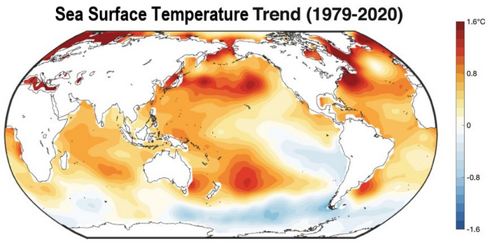 Ocean Temperature Trends [IMAGE] | EurekAlert! Science News Releases