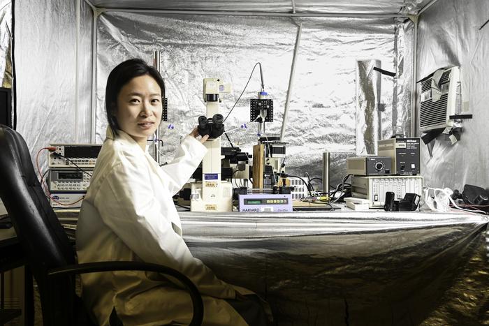 Jiayi Wang [IMAGE] | EurekAlert! Science News Releases