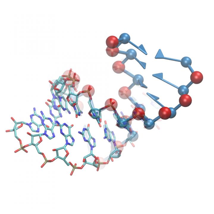 Discovering the structure of RNA | EurekAlert!