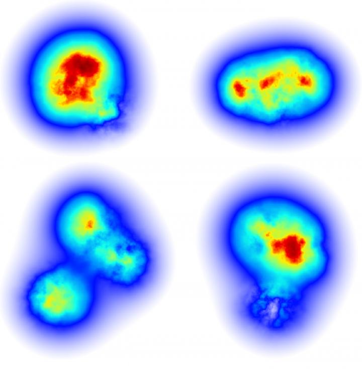 Gluon Fluctuations inside a Pr [IMAGE] | EurekAlert! Science News Releases