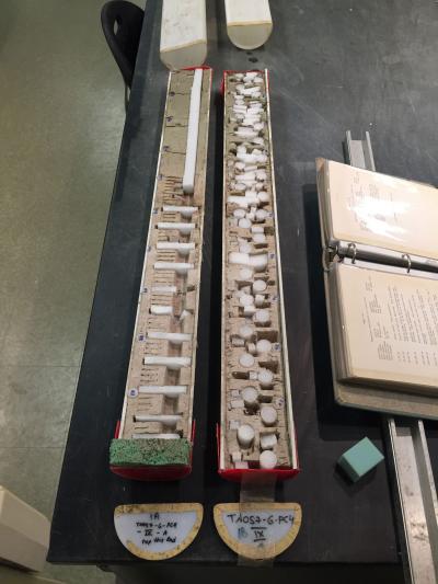 Marine Sediment Core [IMAGE] | EurekAlert! Science News Releases