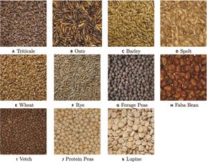 AI-driven nutritional assessment of seed mixt | EurekAlert!