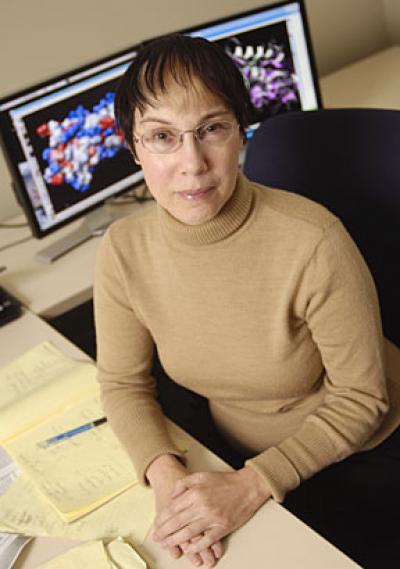 Rachel Karchin [IMAGE] | EurekAlert! Science News Releases